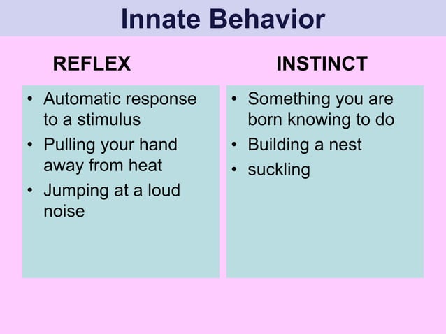 Innate and Instinct behaviour | PDF | Biological Sciences | Science