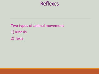 Innate and Instinct behaviour | PDF