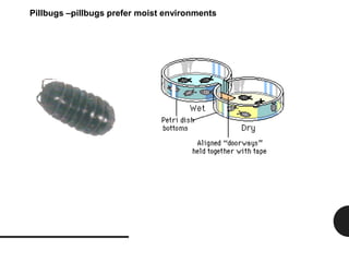Innate and Instinct behaviour | PDF