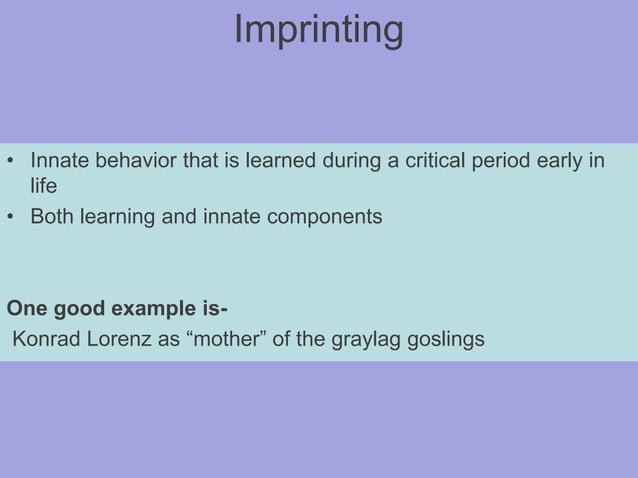 Types of Animal Behaviour (Imprinting and Fixed action pattern) | PPT