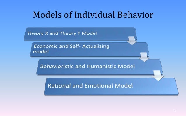 Individual behaviour-Organisational Behaviour