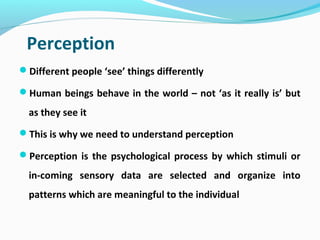 Individual behaviour at work | PPT