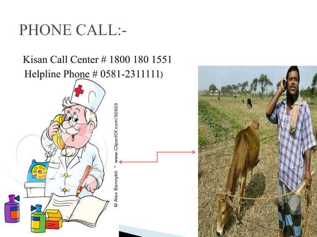 Individual contact method in Extension Education | PPTX