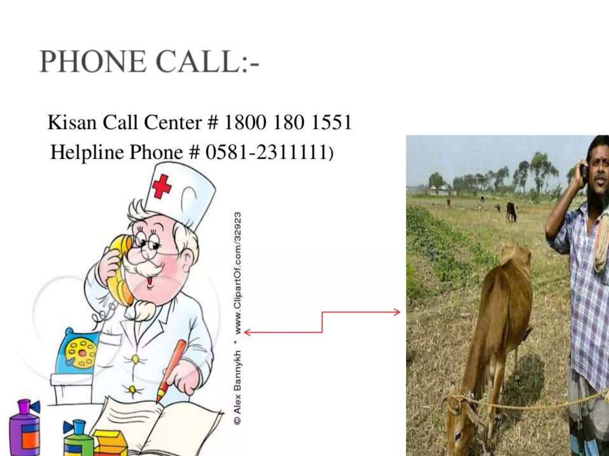 Individual contact methods in agriculture extension By Mr Allah Dad ...