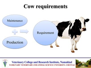 Cow Feeding Evaluation | PPTX
