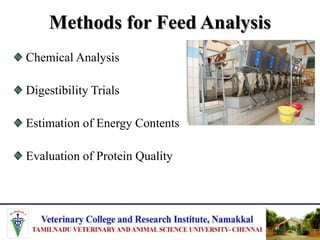 Cow Feeding Evaluation | PPTX