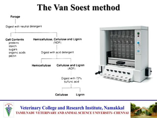 Cow Feeding Evaluation | PPTX