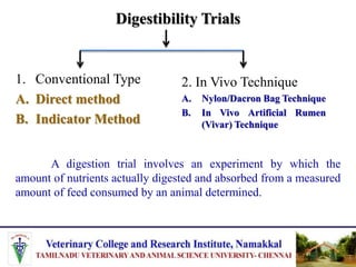 Cow Feeding Evaluation | PPTX