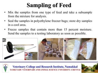 Cow Feeding Evaluation | PPTX
