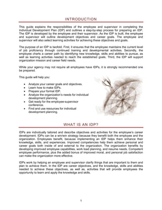 Individual development plan | PDF