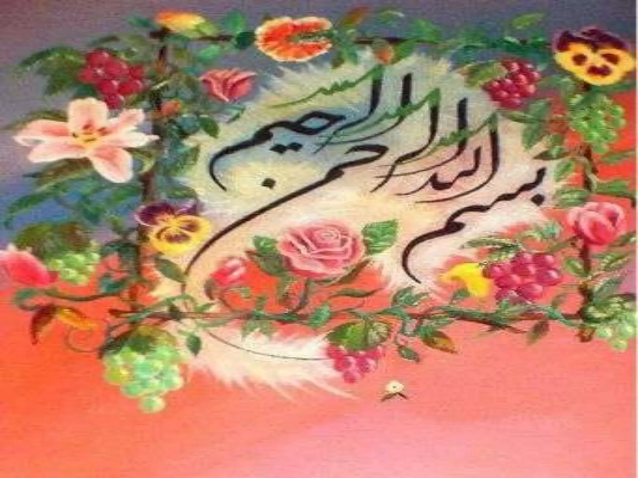 Individual differences | PPT