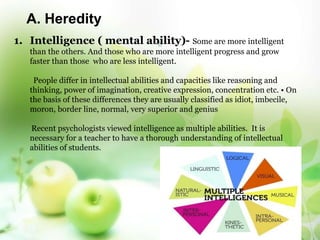 Individual differences | PPT