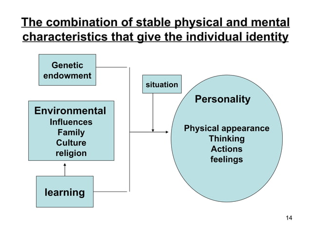 Individual Differences Personality | PPT