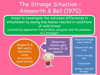 Individual differences in attachment | PPT