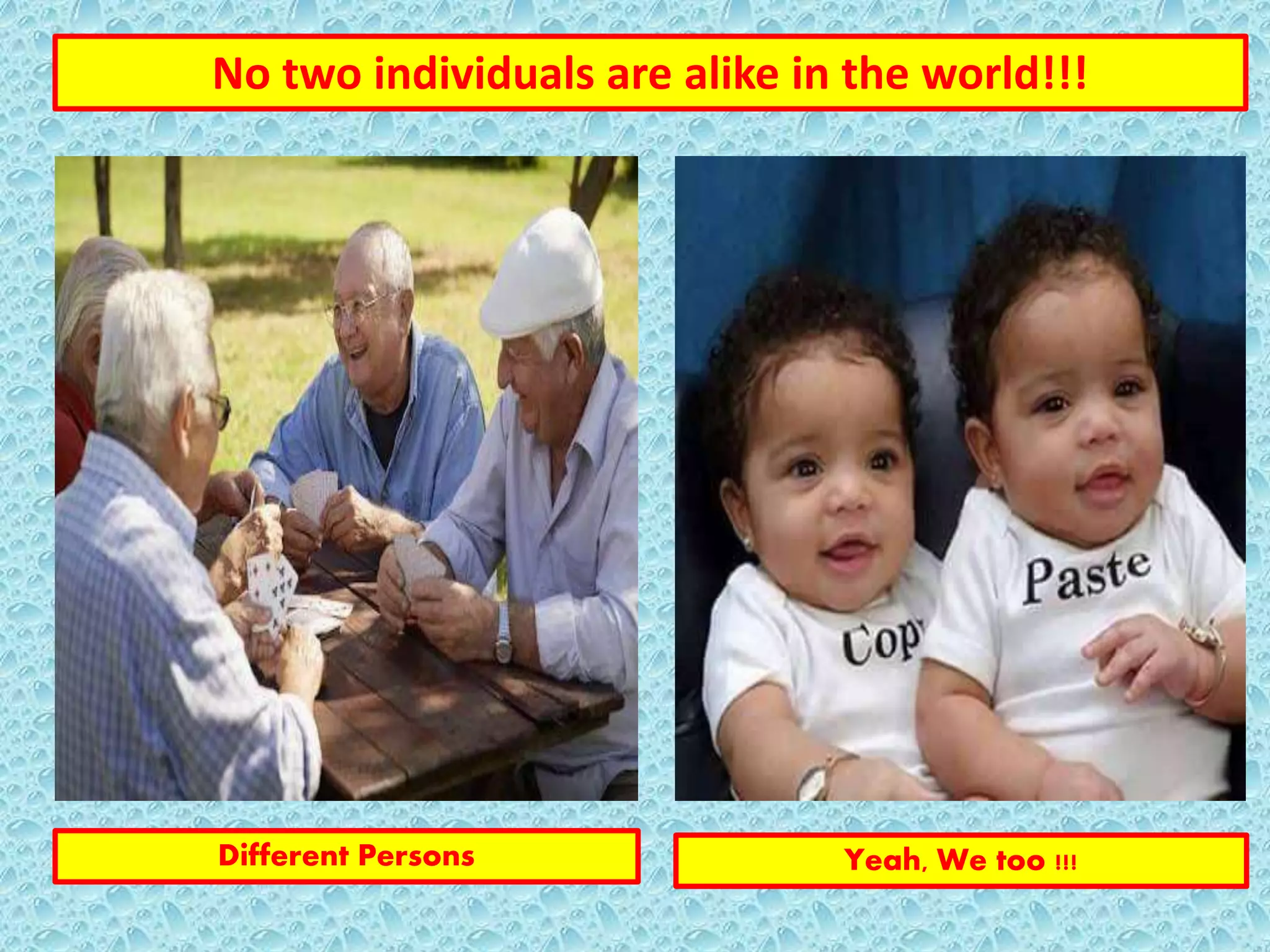 INDIVIDUAL DIFFERENCES new.pptx
