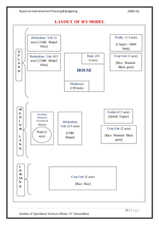 A REPORT ON INDIVIDUAL FARM PLAN | DOCX