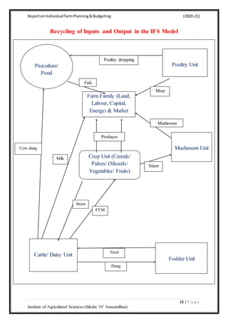 A REPORT ON INDIVIDUAL FARM PLAN | DOCX