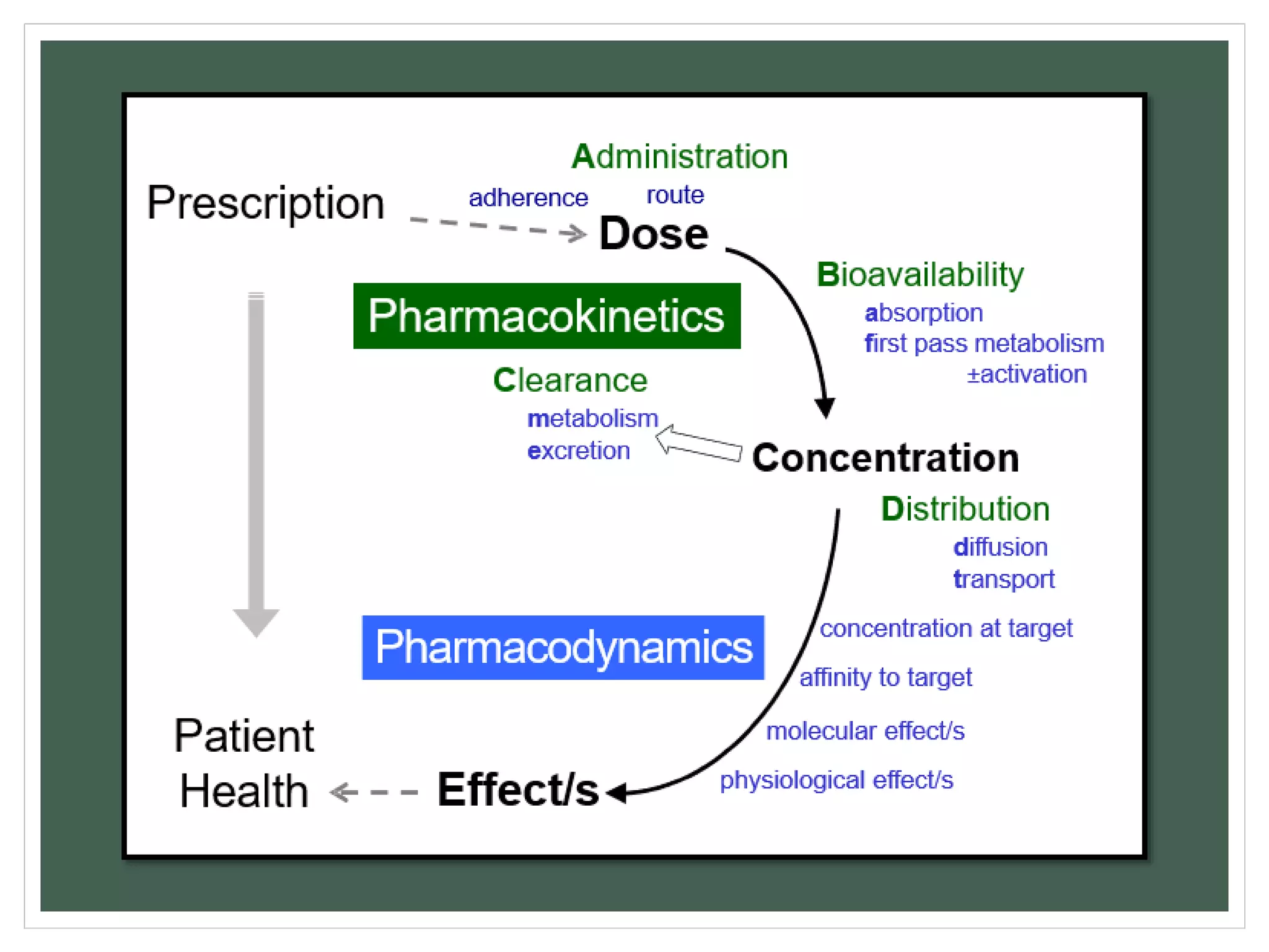 Individualization of dosage regime | PPT