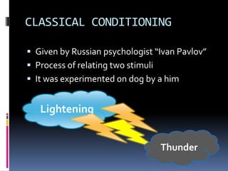 Individual learning and behaviour | PPTX