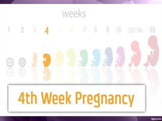 Individualno razvice coveka | PPT