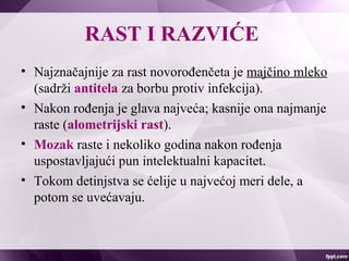 Individualno razviće čoveka | PPT