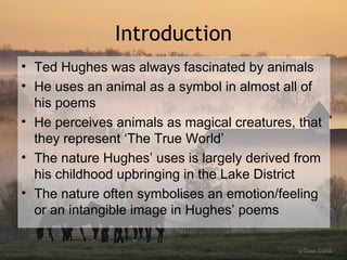 Comparison Between Ted Hughes' "The Thought-Fox" and "The Horses" | PPT