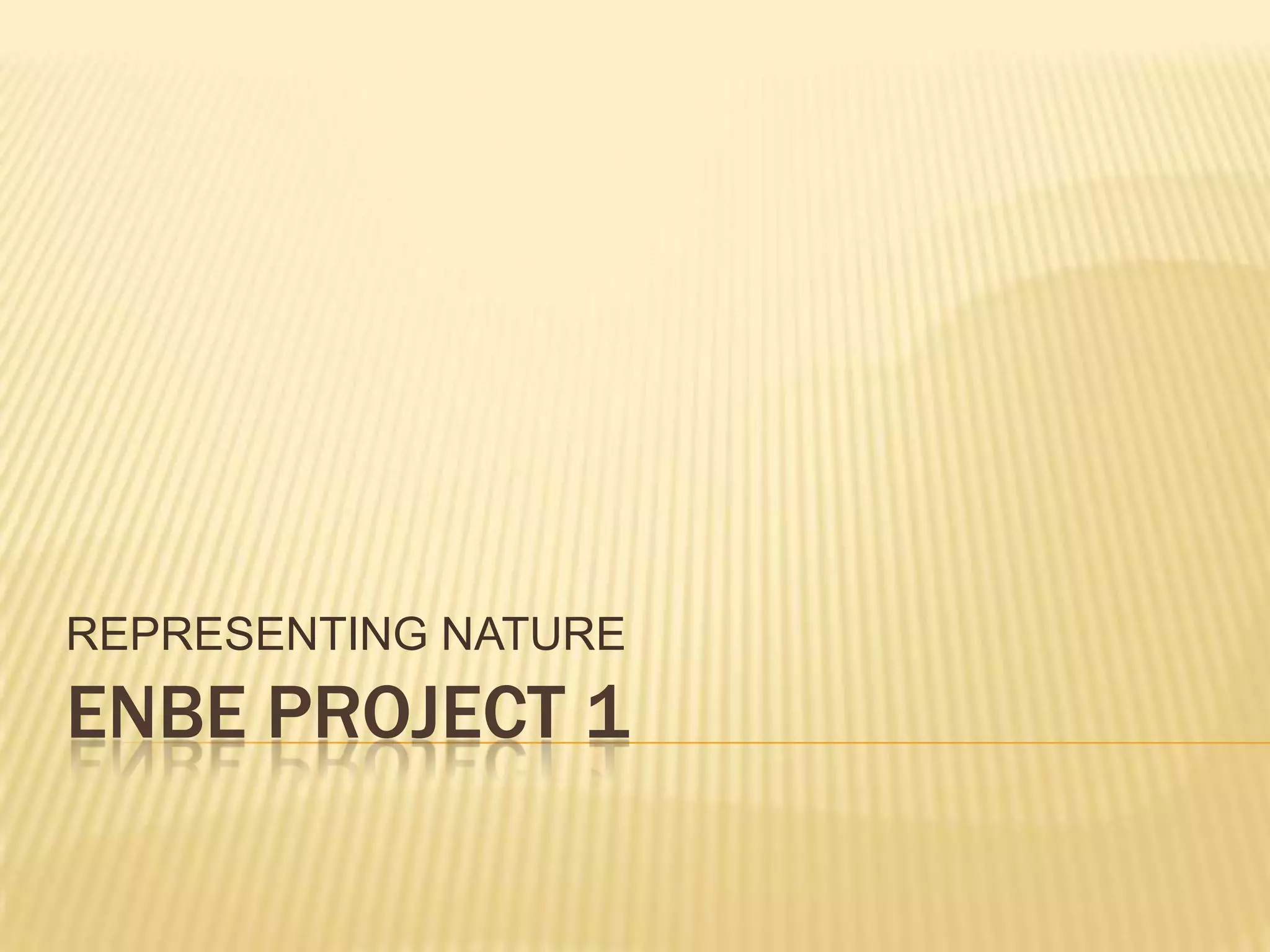 ENBE Project 1 - Documentary Report | PPTX