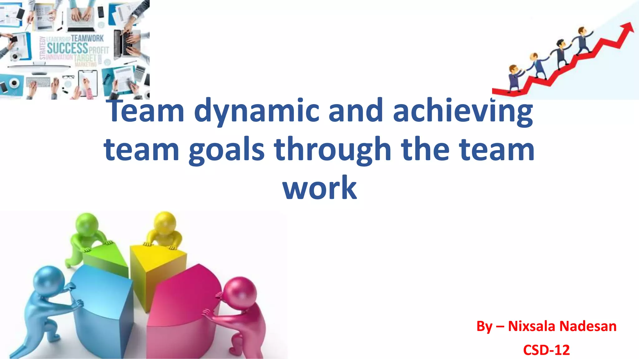 Individual Team Dynamics | PPT