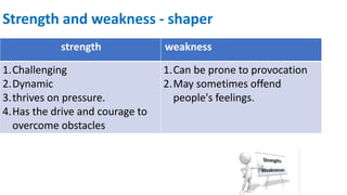 Individual Team Dynamics | PPT