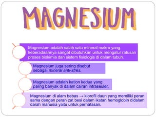 Magnesium | PPTX