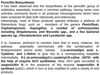 ind micro-penicillin production.ppt