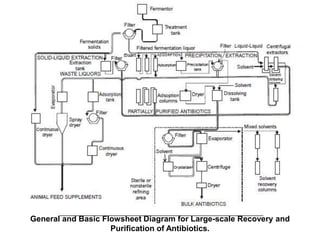 ind micro-Streptomycin.ppt