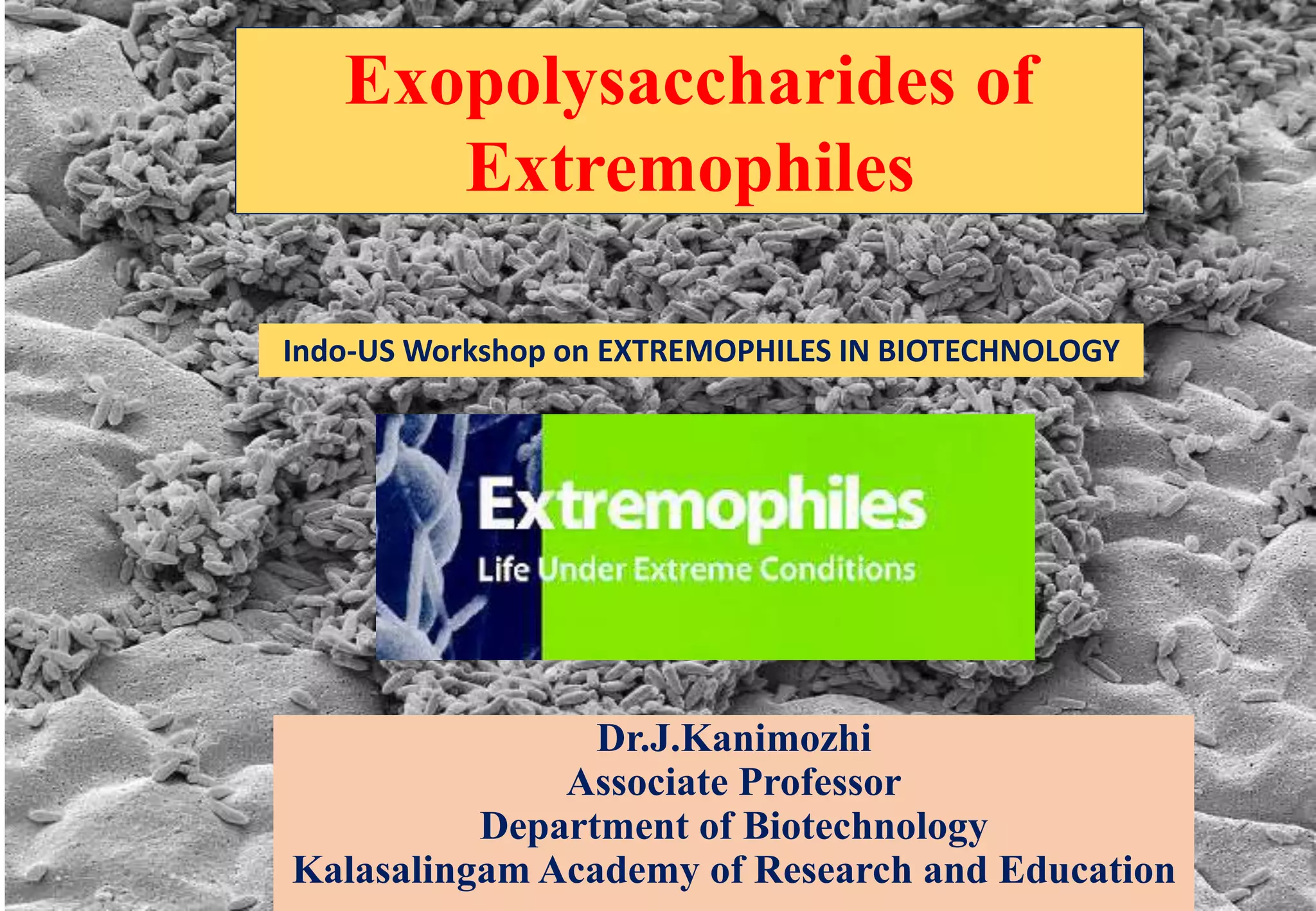 Exopolysaccharides of Extremophiles | PPTX | Chemistry | Science