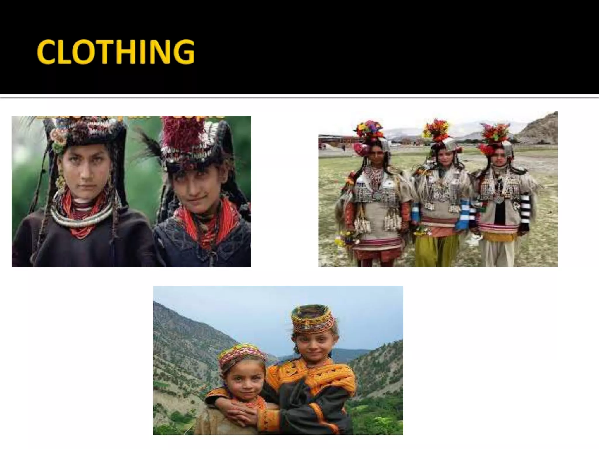 Indo Aryan Language Society Ppt