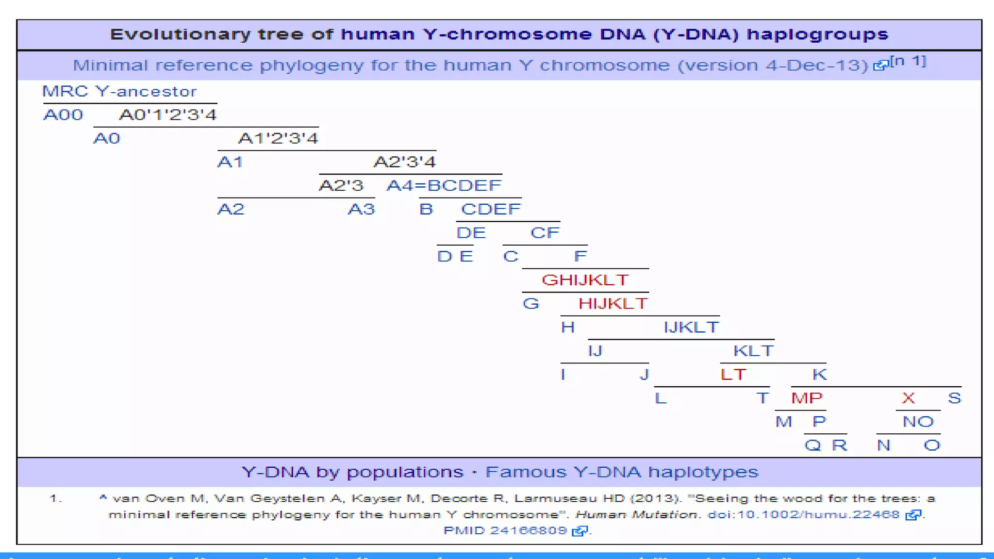 Indo aryan invasion theory validation & origin of world races | PPTX