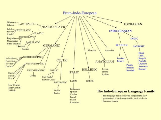 Indo-European Language Tree | PDF | Digital Audio | Computer Software ...