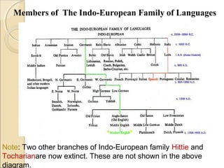 Indo european family of language | PPT