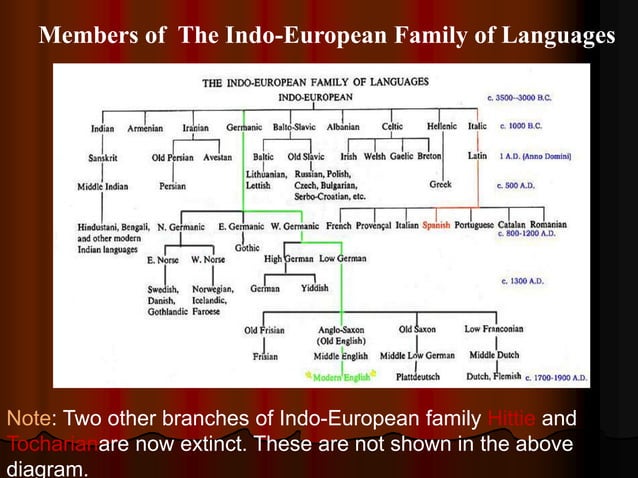 A Picture from the Indo European Family Tree Language | PPT