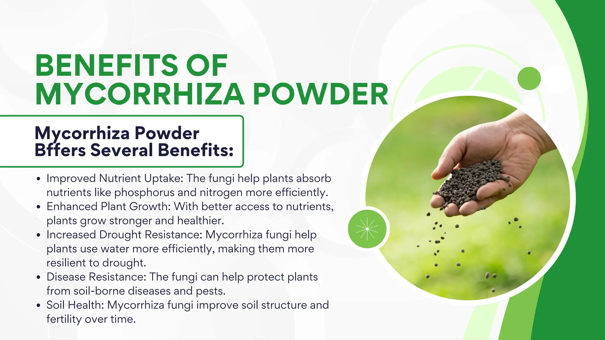 Using Mycorrhizae Powder for Healthier Plants | PDF
