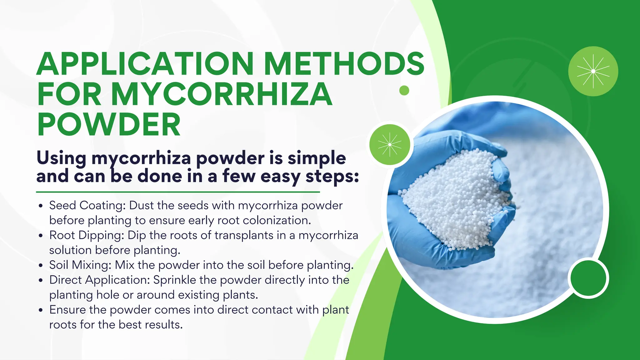 Using Mycorrhizae Powder for Healthier Plants | PDF