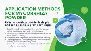 Using Mycorrhizae Powder for Healthier Plants | PDF