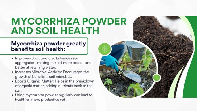 Using Mycorrhizae Powder for Healthier Plants | PDF | Agriculture ...