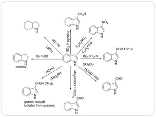 Indole: Lecture -1 (Hetero-cyclic chemistry) | PDF