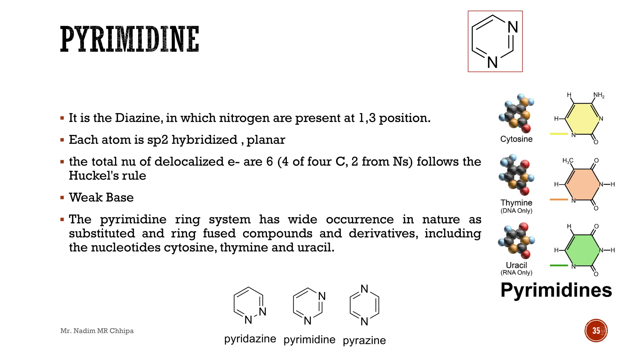 Indole, Pyrimidine and Purine synthesis.pdf