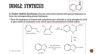 Indole, Pyrimidine and Purine synthesis.pdf