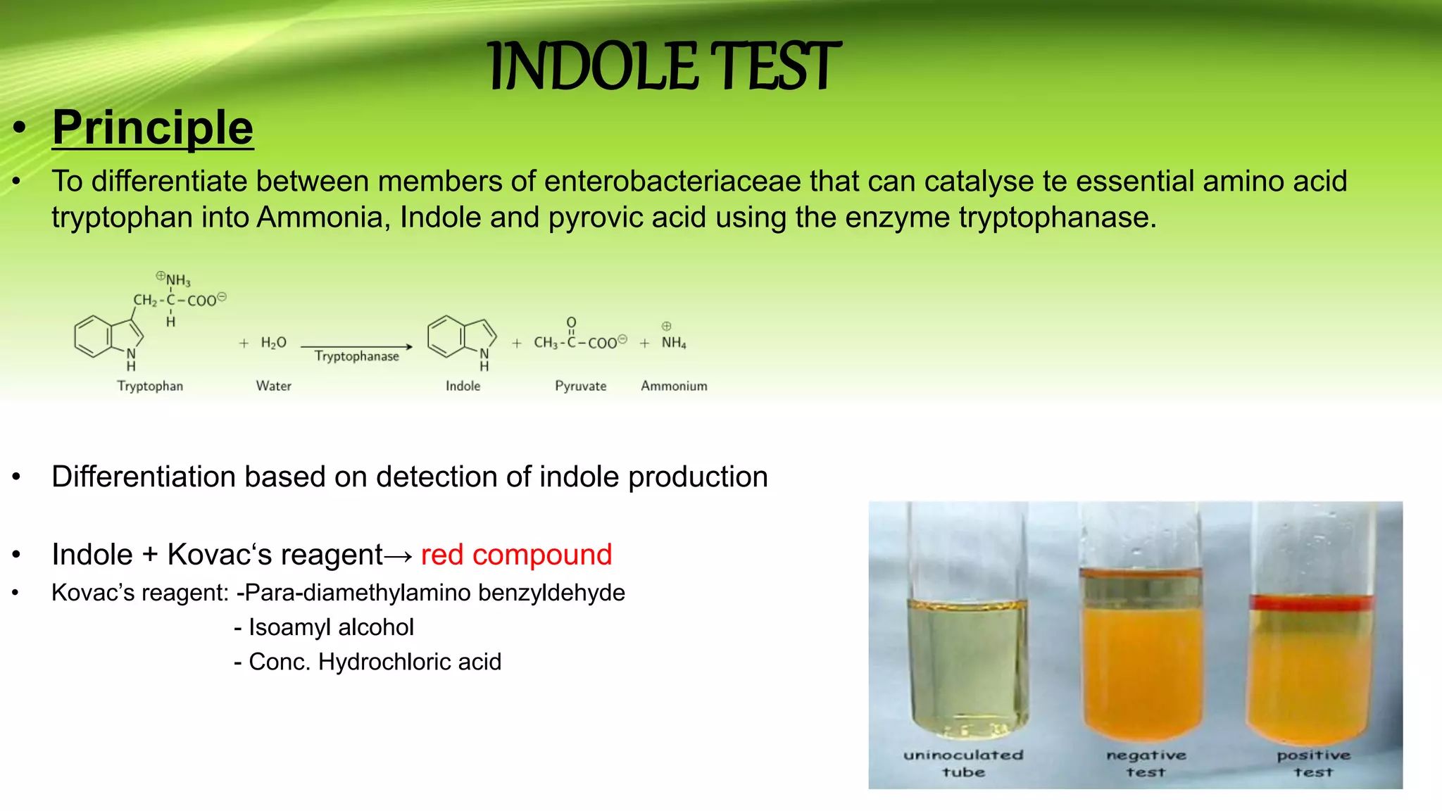 Indole test | PPTX