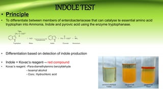 Indole test | PPTX