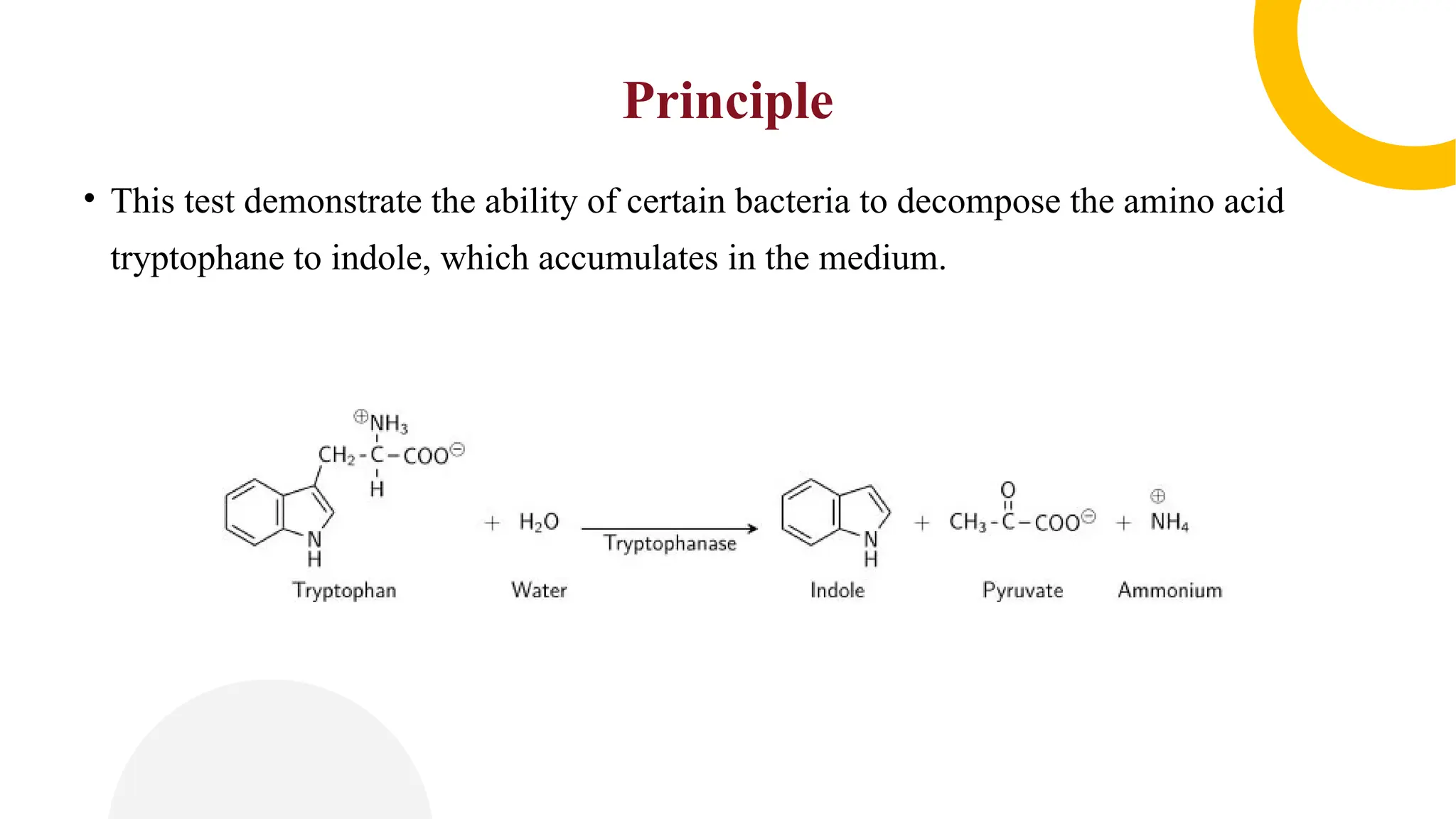INDOLE TEST for identification of bacteria.pptx