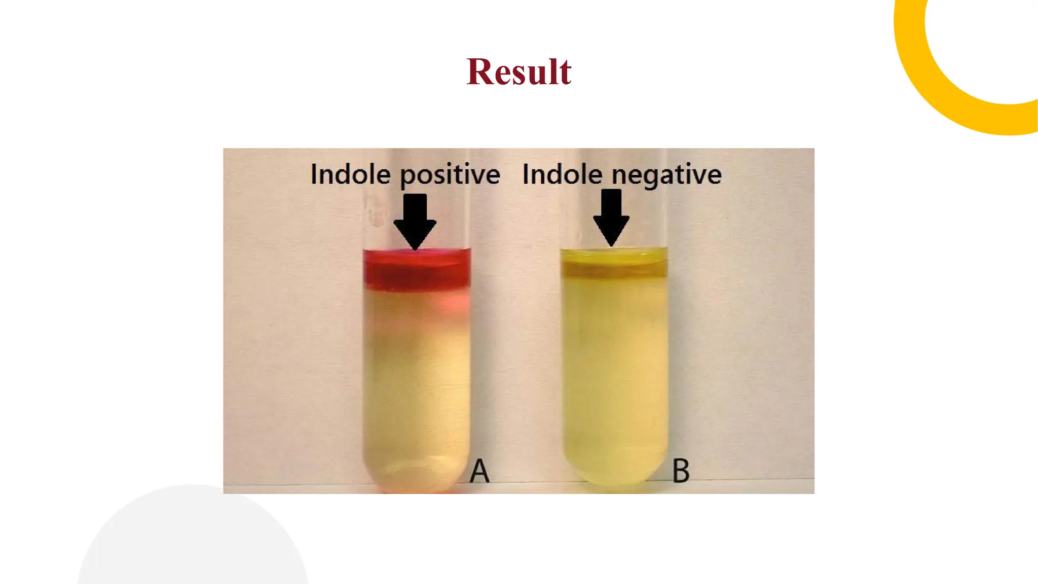INDOLE TEST for identification of bacteria.pptx