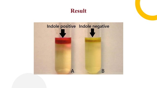 INDOLE TEST for identification of bacteria.pptx